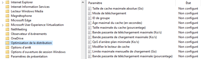 A la découverte de WUDO (Windows Update Delivery Optimization) | Néosoft