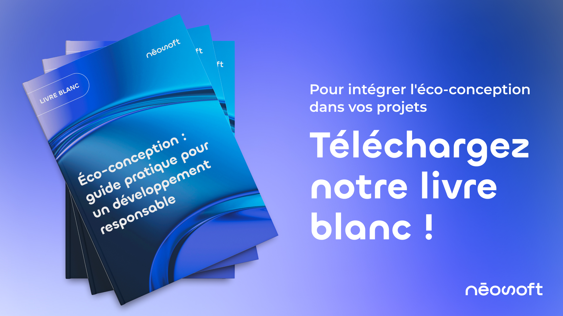 Livre blanc éco-conception : guide pratique pour un développement ...